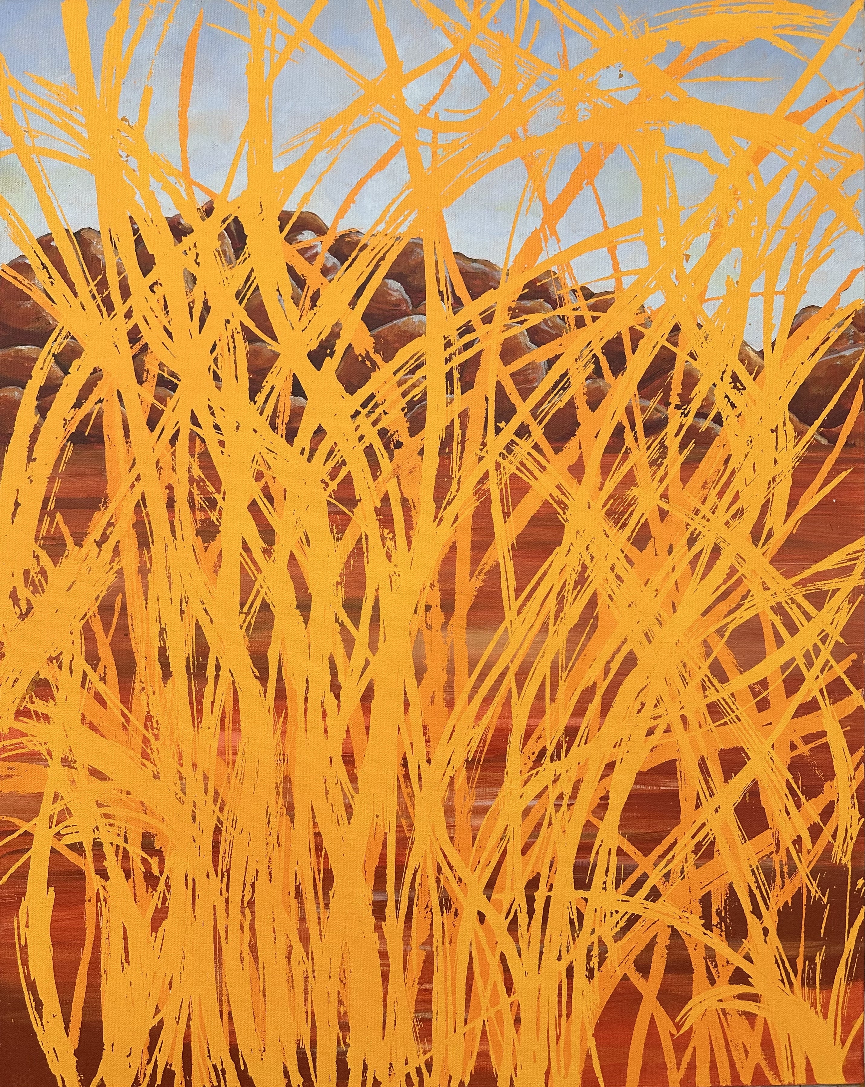 Grasses of North - Sandy O'Callaghan – Hahndorf Academy