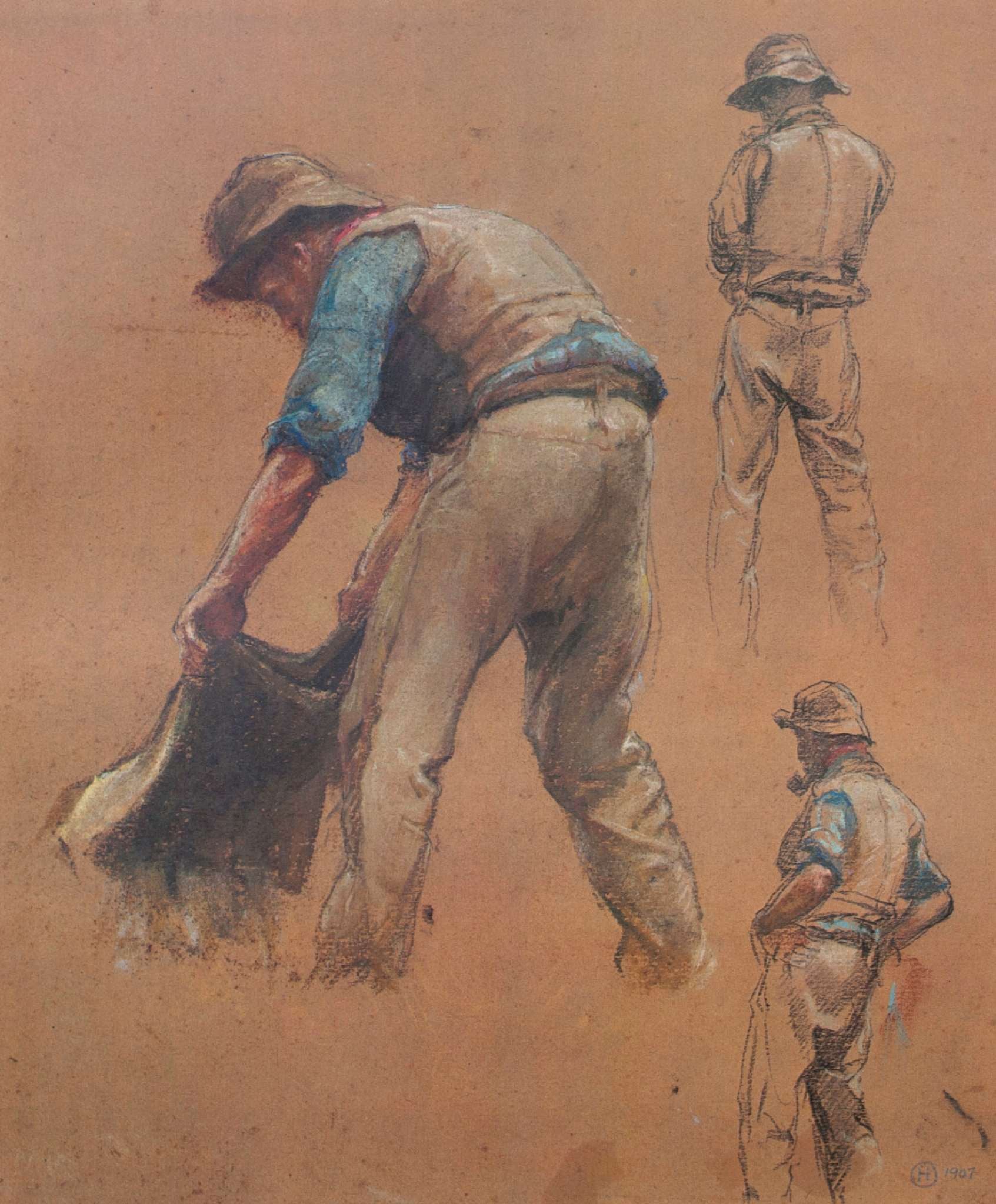 Potato Picker – Hahndorf Academy